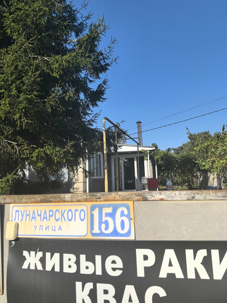 Balık ve deniz ürünleri Живые раки и квас, Nevinnomissk, foto