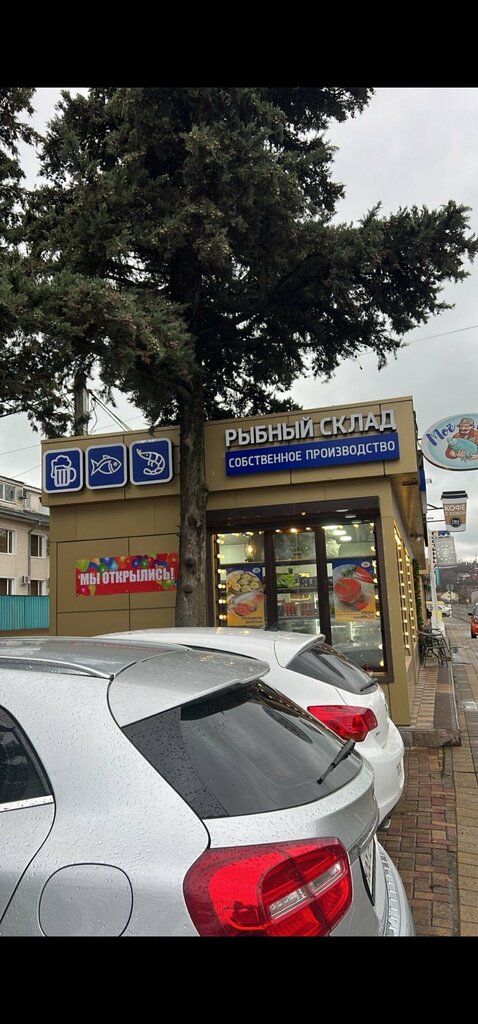 Bira dükkanı Живое пиво, Krasnodarski krayı, foto