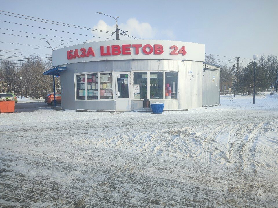 Çiçekçiler Baza tsvetov 24, Nijni Novgorod, foto