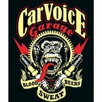 CarVoice (Rostovskaya Street No:96), oto alarm sistemleri  Voronej'den
