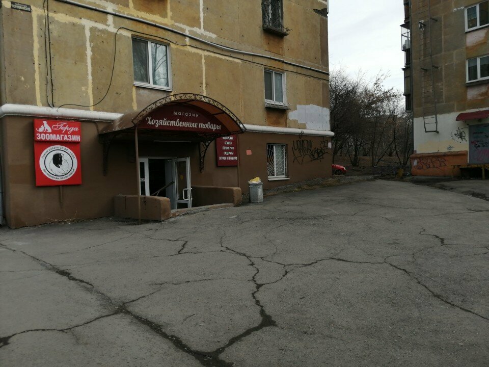 Evcil hayvan yetiştiricileri Medanzhen, Nijni Tagil, foto