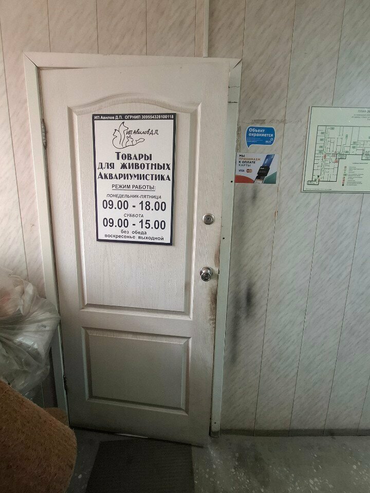 Evcil hayvanlar için ürünler Авилов, Omsk, foto