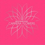 Carrera Flowers (Tsiolkovskogo Street No:27), çiçekçiler  Yekaterinburg'dan