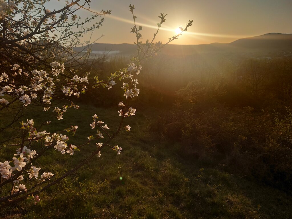 Market Черемушки, Sevastopol, foto