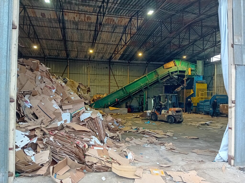 Atık kağıtların alınması Сфера, Balaşiha, foto