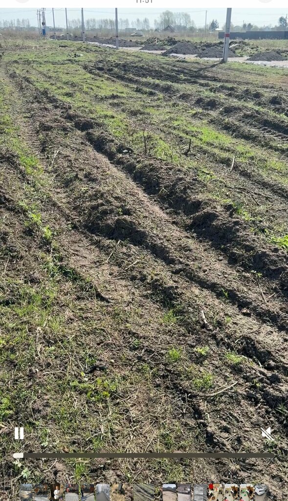 Arazi dizisi Olgino, Moskova ve Moskovskaya oblastı, foto