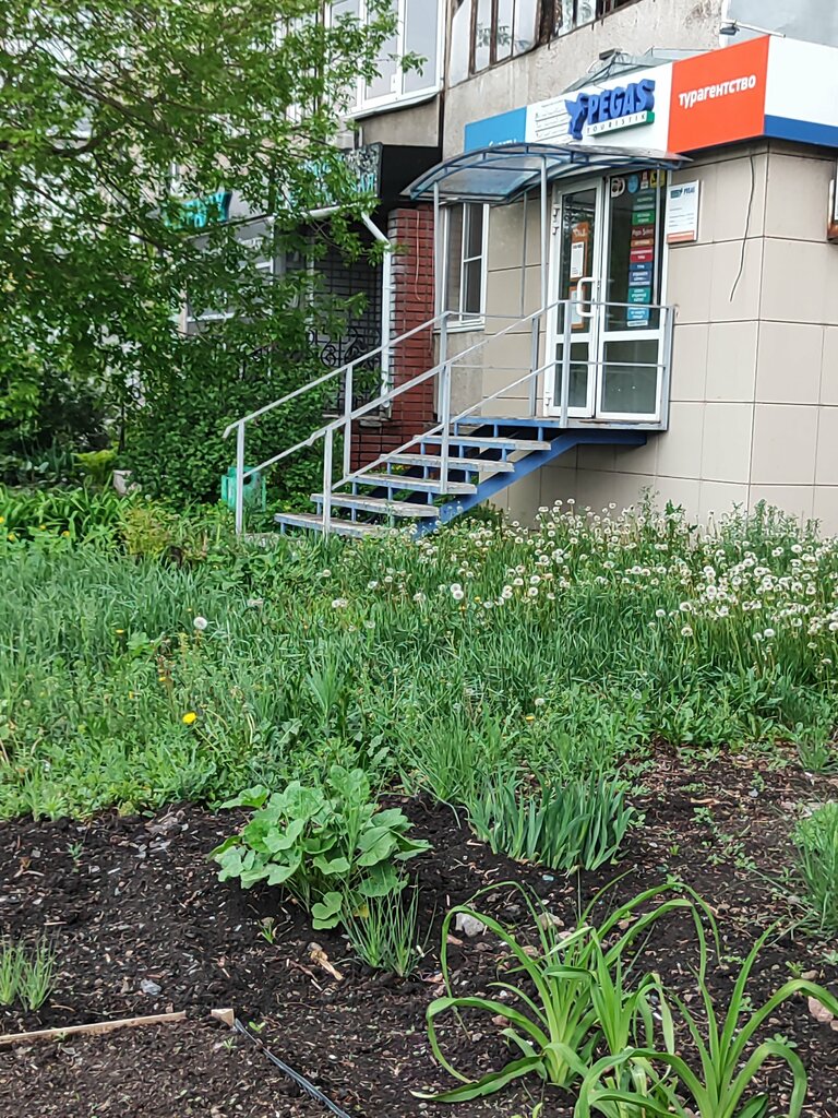 Seyahat acenteleri Pegas Touristik, Magnitogorsk, foto