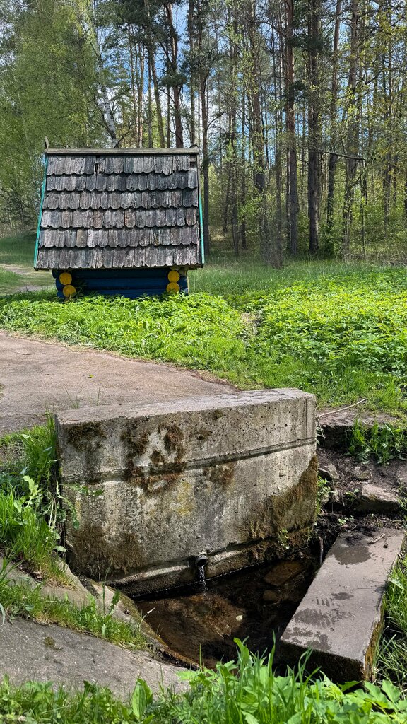 Pınar, çay Теремок, Vitebskaya oblastı, foto