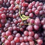 Вкус востока (ulitsa Akademika Parina No:41), manavlar  Yekaterinburg'dan