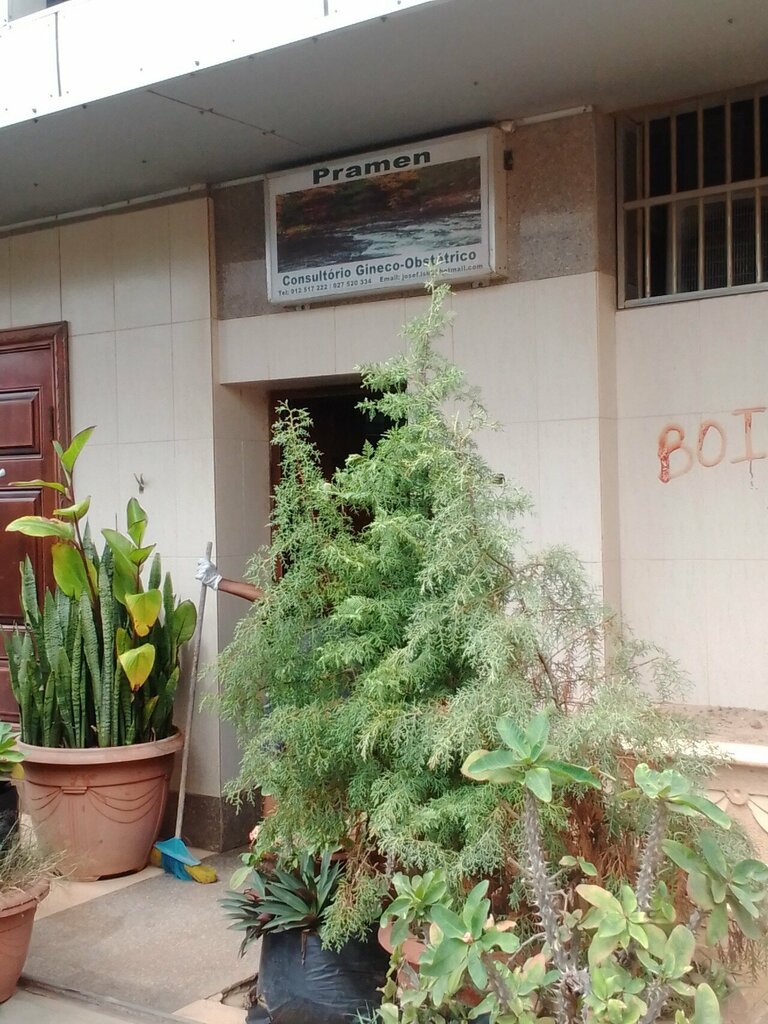 Jinekoloji kliniği Centro Pramen, Loanda, foto