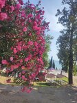 У Лианы (Naberezhnaya ulitsa No:15, selo Mgudzyrkhua), resort oteller, tesisler  Gudauta Bölgesi'nden