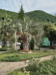 Райское местечко (Kurgannaya ulitsa No:18), otel  Soçi'den