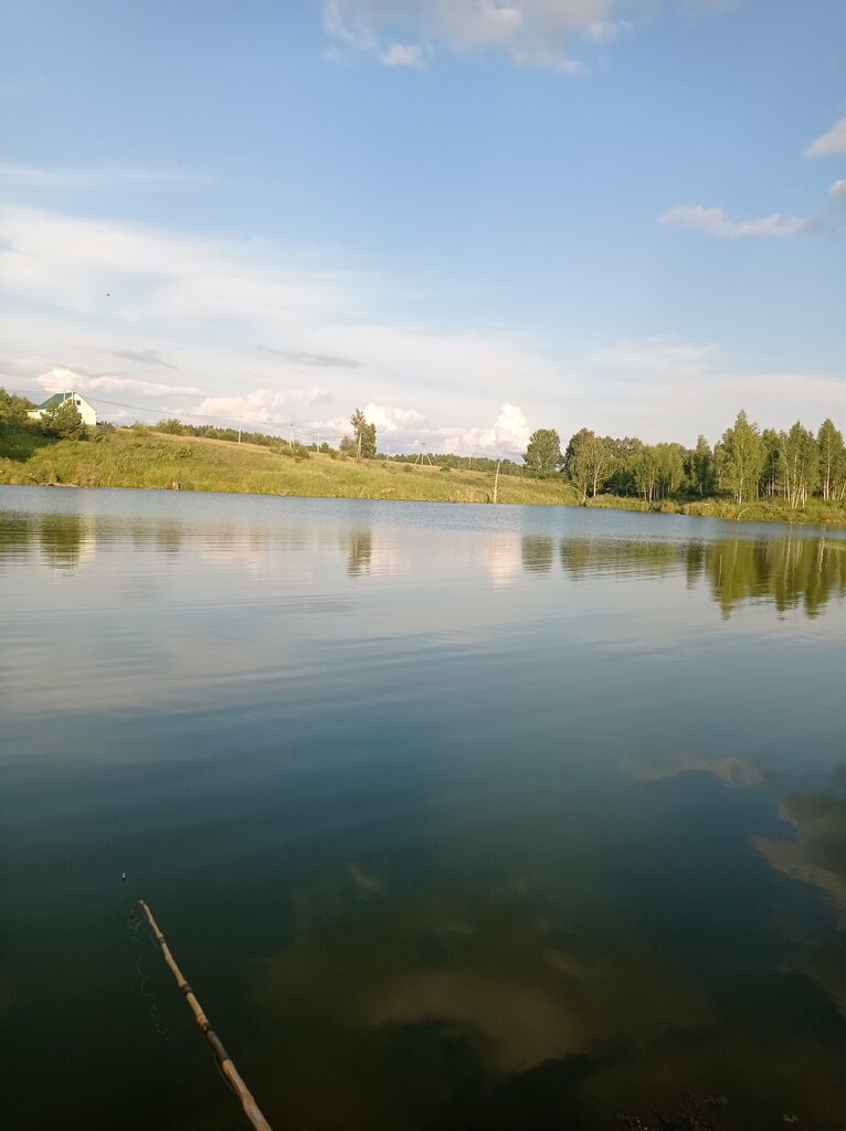 Balık çiftçiliği ve toptancıları Na prudu V Parsukovo, Kalujskaya oblastı, foto