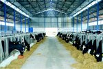 Mat Ofset (Kütahya, Simav, Tabakhane Mah., 30 Ağustos Cad., 5), baskı hizmetleri  Simav'dan