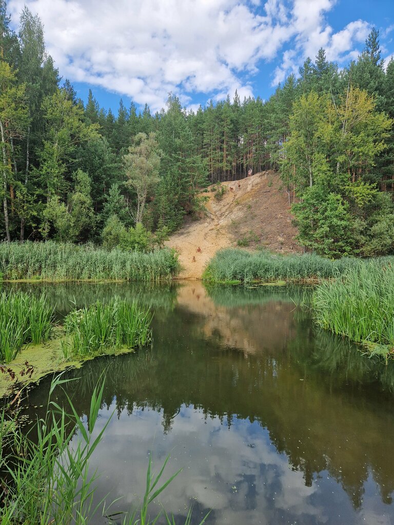 Dağ zirvesi Гора Красный бор, Tambovskaya oblastı, foto