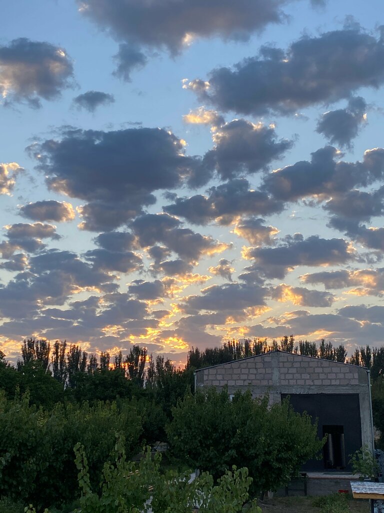 Şaraphane Darbin Winery, Erivan, foto