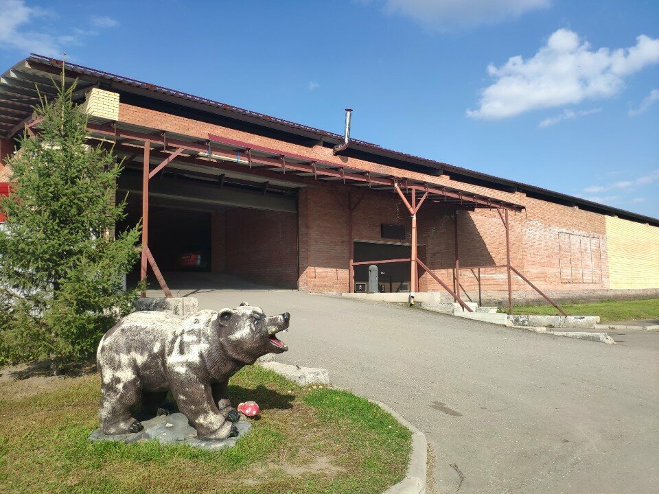 Garajlar Гаражный кооператив, Omsk, foto