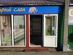 Пестрый слон (vulica Cieraškovaj No:17), duvar kağıdı mağazaları  Vitebsk'ten