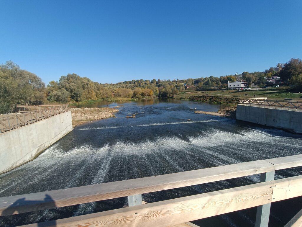 Orman урочище Струпенская Лука, Moskova ve Moskovskaya oblastı, foto