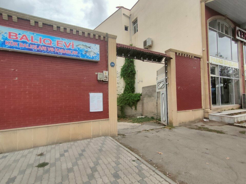 Balık ve deniz ürünleri Kür Balıqları, Gence, foto