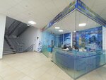 Aviakassa (Mukhtar Äwezov street No:49Б), uçak ve demiryolu biletleri  Yekibastuz'dan (Ekibastuz'dan)