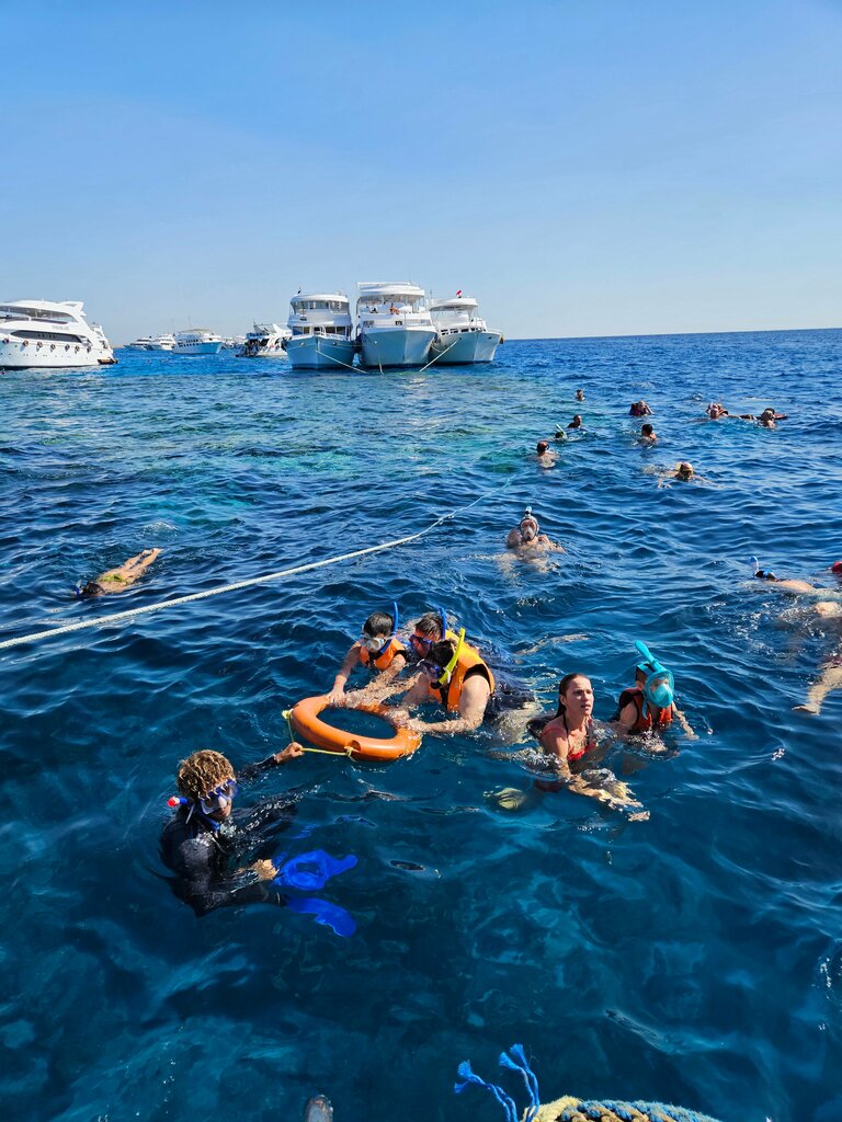 Dalış kulüpleri ve eğitim merkezleri SeaMax Sharm, Şarm El‑Şeyh, foto