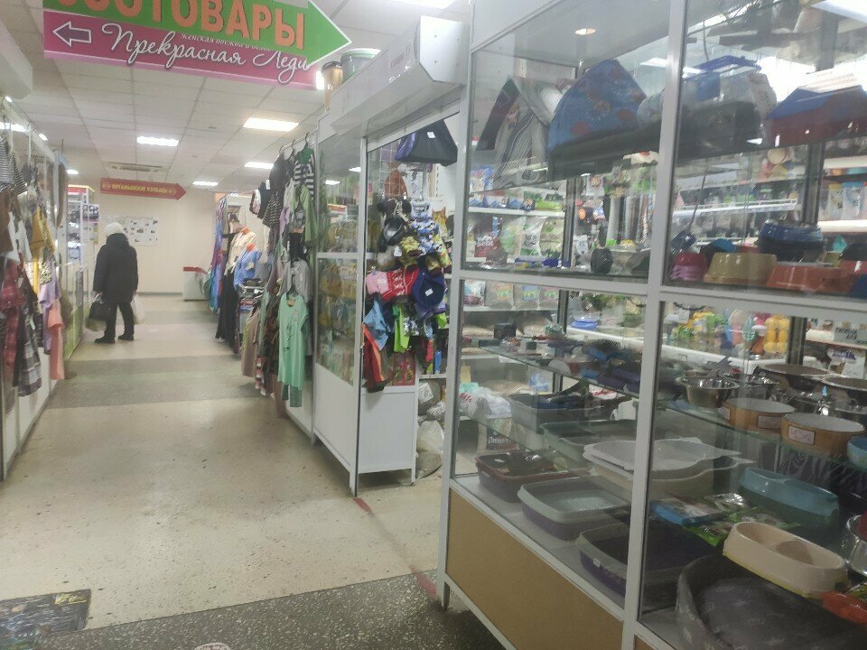 Petshop Кот и пес, Kurgan, foto