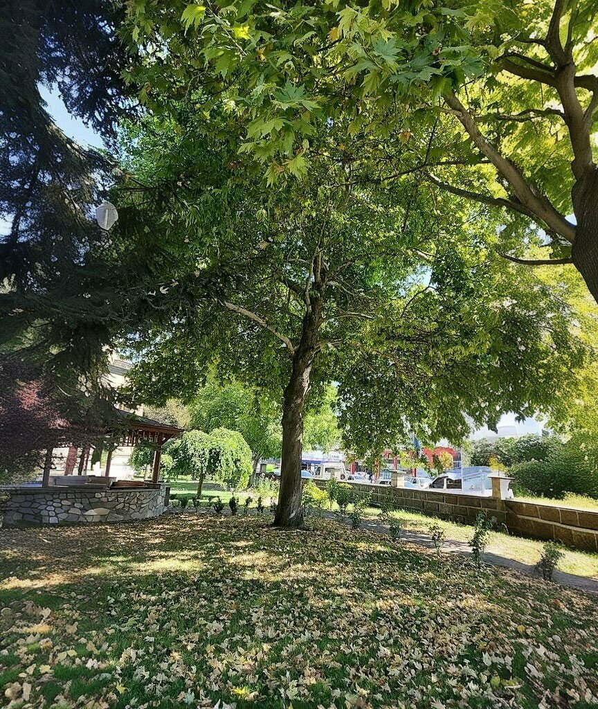 Cami İmam-ı Gazali Cami, Kayseri, foto