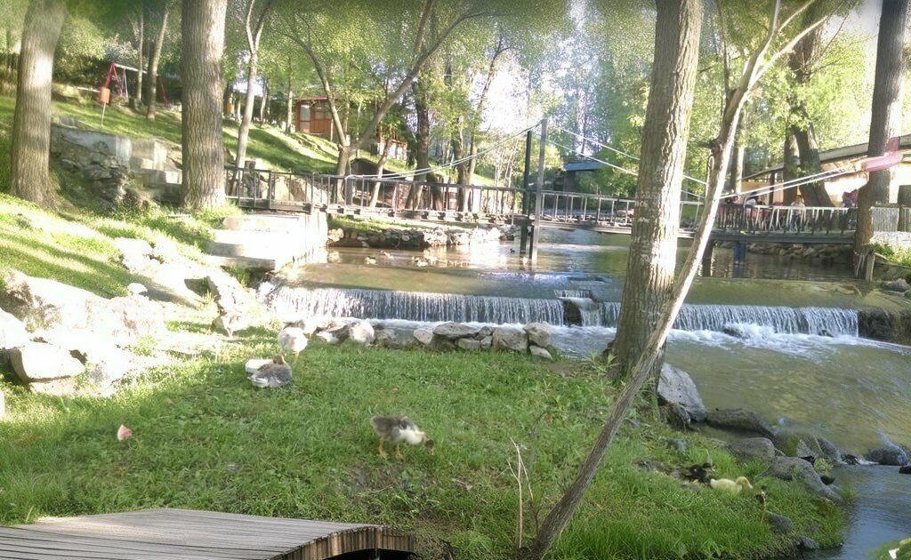 Muhtarlıklar Şahnalar Köy Muhtarlığı, Akyaka, foto