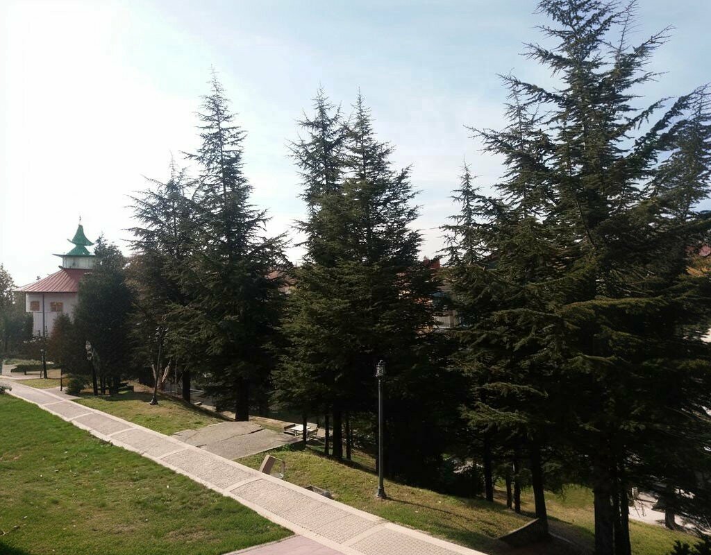 Kültür ve eğlence parkları Şehit Hava Pilot Yüzbaşı Ali Rıza Sadak Parkı, Ankara, foto