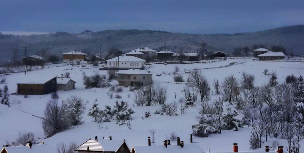 Muhtarlıklar Serdar Köy Muhtarlığı, Araç, foto