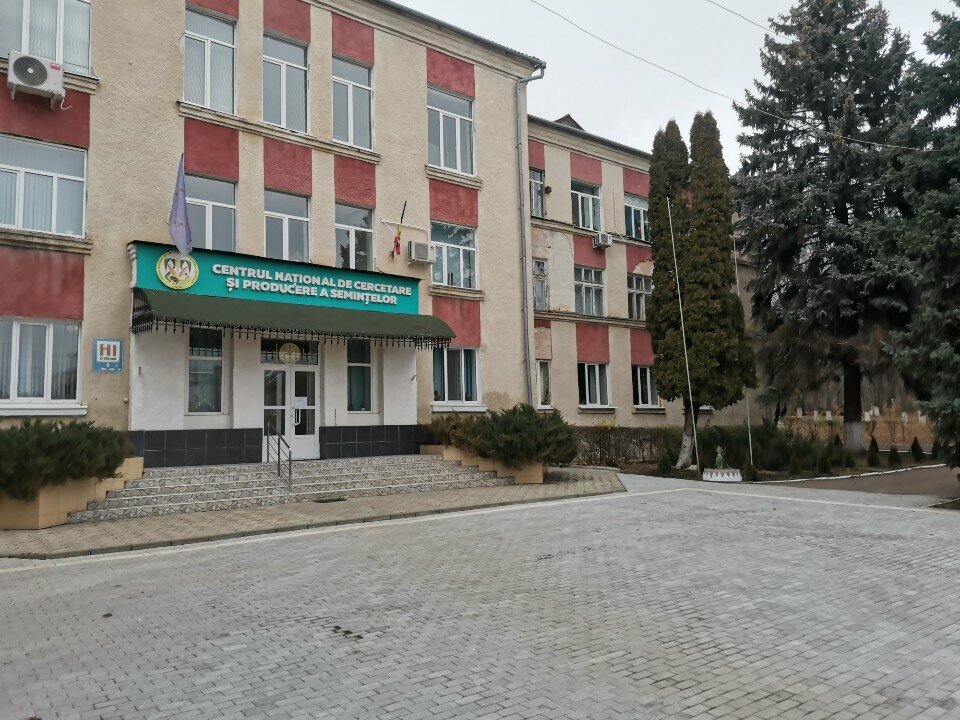 Ar-ge şirketleri Institutul de Cercetări pentru Culturile de Câmp Selecția, Beltsi, foto