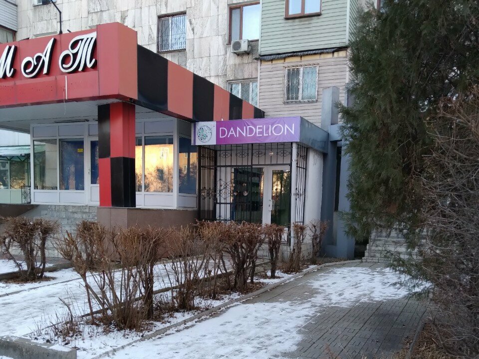 Besin takviyesi, aktariye Dandelion, Taldıkorgan, foto