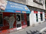 Stana (Milesevska Street No:9), petshop  Belgrad'dan