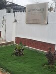 DElsuz Plants (Luanda, Rua 30), sera ve bahçe ürünleri  Loanda'dan