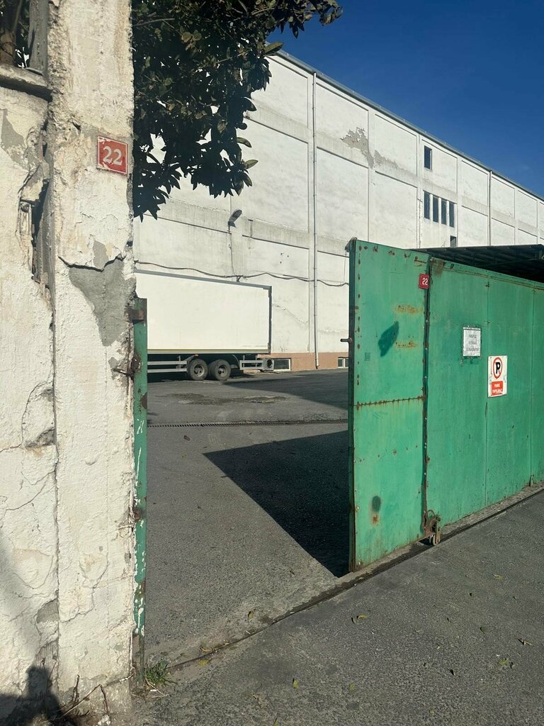 Balık çiftçiliği ve toptancıları Başaran balıkçılık Soğuk Hava deposu, İstanbul, foto