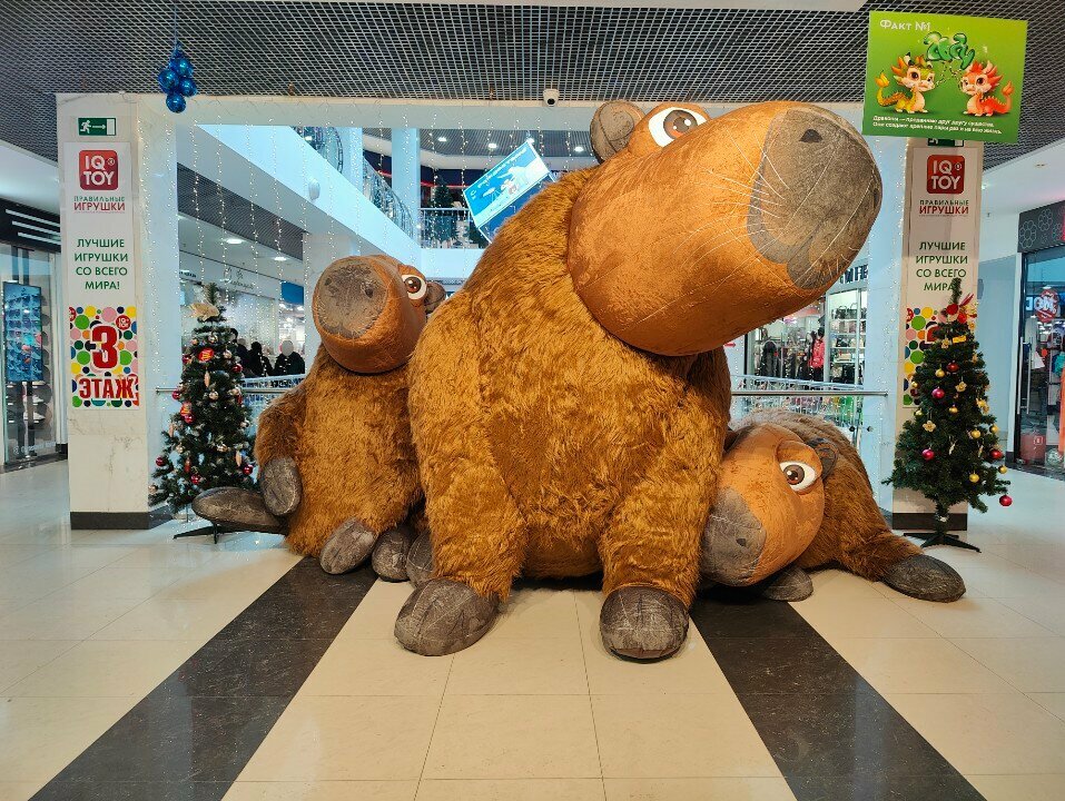 Bankacılık hizmet noktası OTP Bank, Novomoskovsk, foto