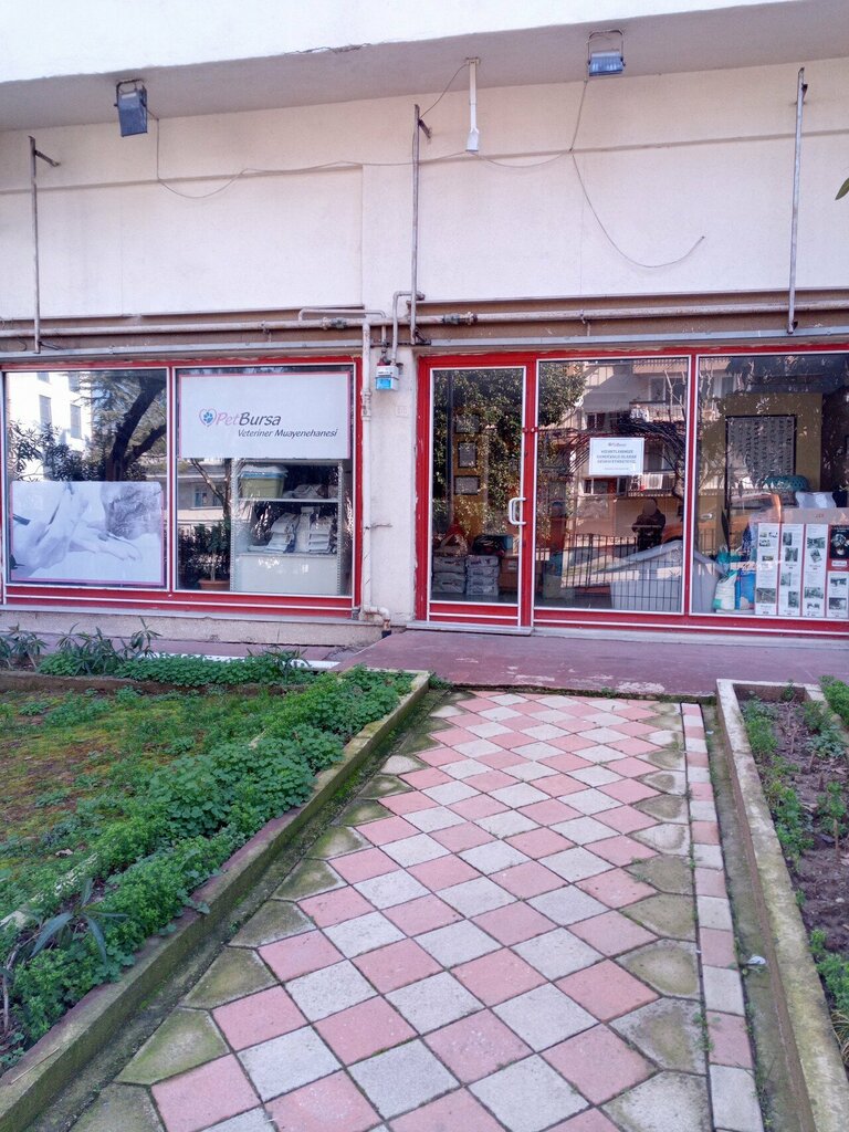 Evcil hayvanlar için ürünler Pet Bursa, Bursa, foto