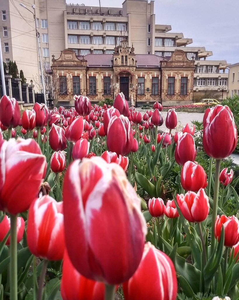 Sosyal yardım kuruluşları Dom dlya Mamy, tsentr Zashchity Materinstva, Essentuky, foto