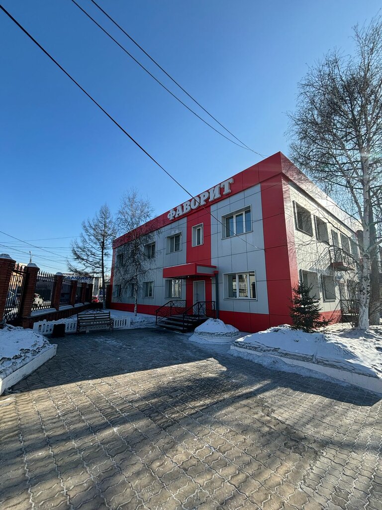 Kargo firmaları Trans Trek-DV, Çita, foto