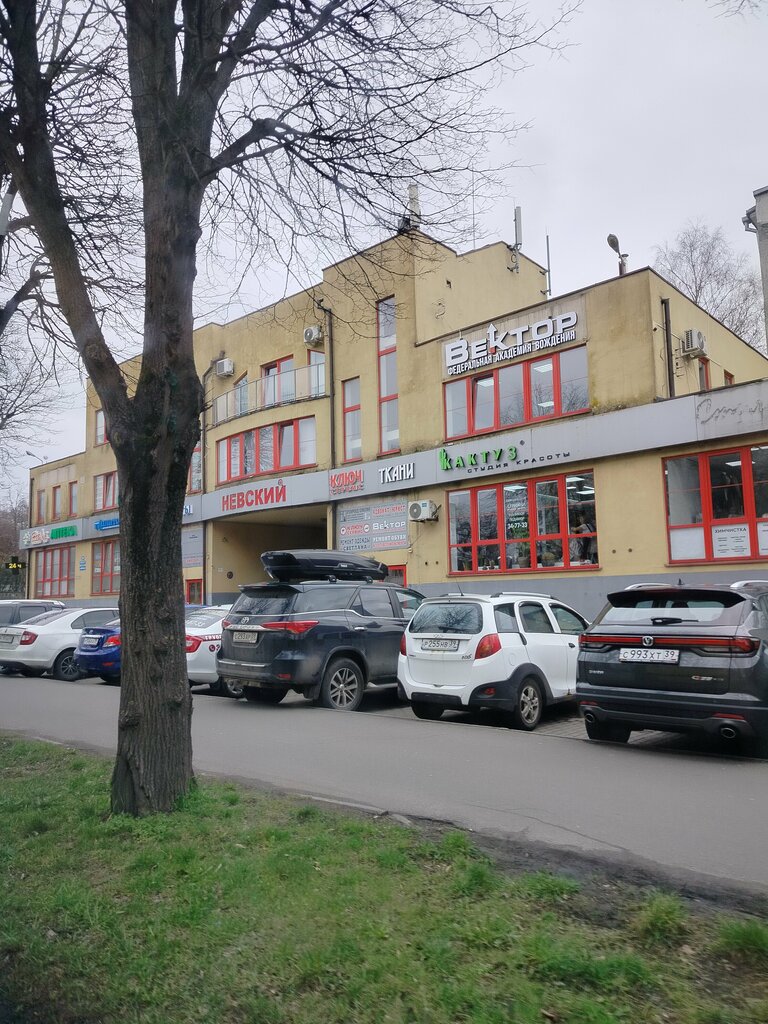Alışveriş merkezleri Nevsky, Kaliningrad, foto