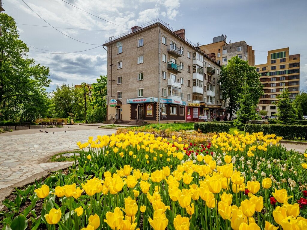 Kısa süreli konaklama Arenda67, Smolensk, foto