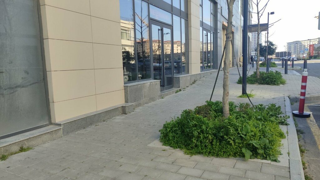 Yapı mağazası Asc Co, Bakü, foto