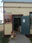 Ирина и глина (ulitsa Polezhayeva No:9А, posyolok Romodanovo), çömlek atölyesi  Mordovya'dan