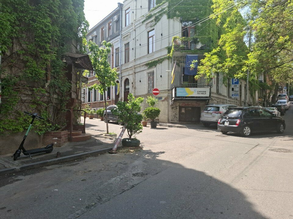 Sivil toplum kuruluşları Choose to Help, Tiflis, foto