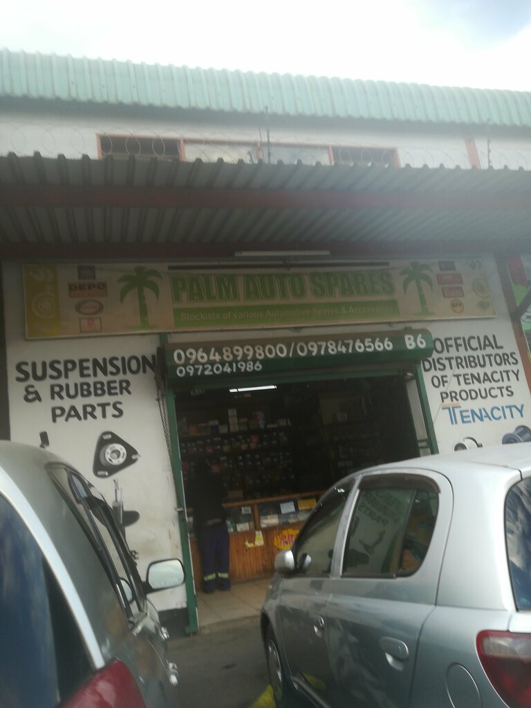 Otomobil yedek parçaları Palm Auto Spares, Lusaka, foto