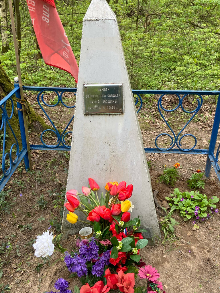 Anıt, heykel Могила неизвестного солдата нашей Родины павшего в 1941 году, Moskova ve Moskovskaya oblastı, foto