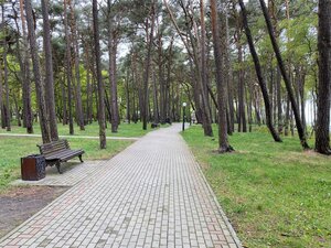 Сосновый бор (Kaliningrad Region, Pionersky, Komsomolskiy pereulok), kültür ve eğlence parkları  Pionersky'den