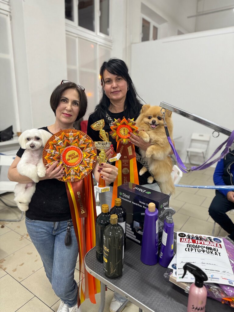 Evcil hayvan kuaförleri Pachino, Minsk, foto