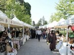 Düzce Otları Tyche Bereket Festivali (Düzce, Düzce Merkez, Kültür Mah., Anıt Park Meydanı), dernekler, birlikler  Düzce'den